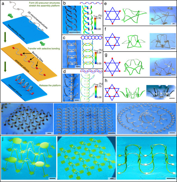 Kewang Nan Research Group
