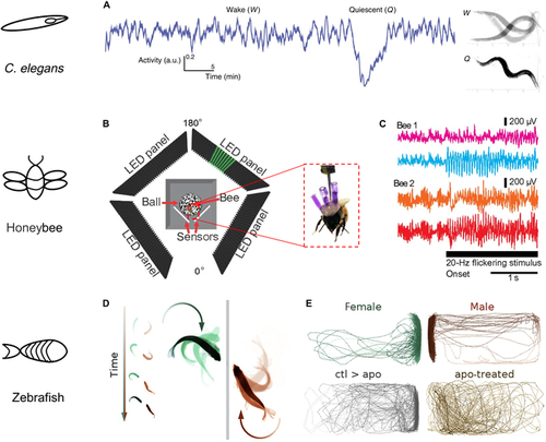 Kewang Nan Research Group