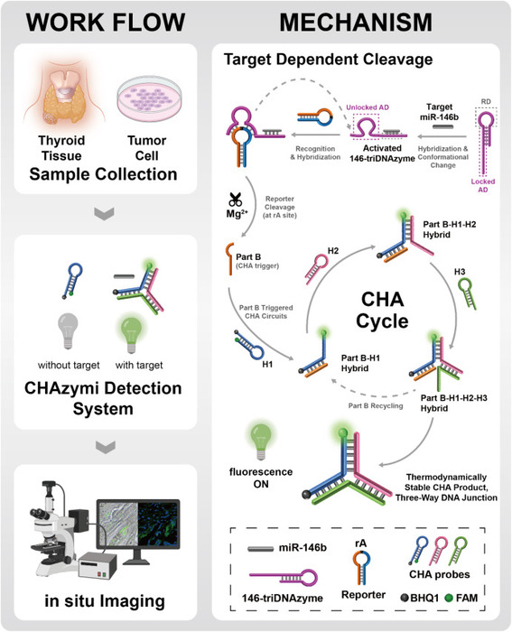 Kewang Nan Research Group