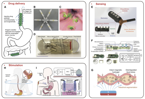 Kewang Nan Research Group