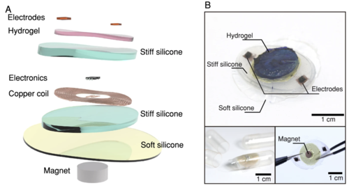 Kewang Nan Research Group